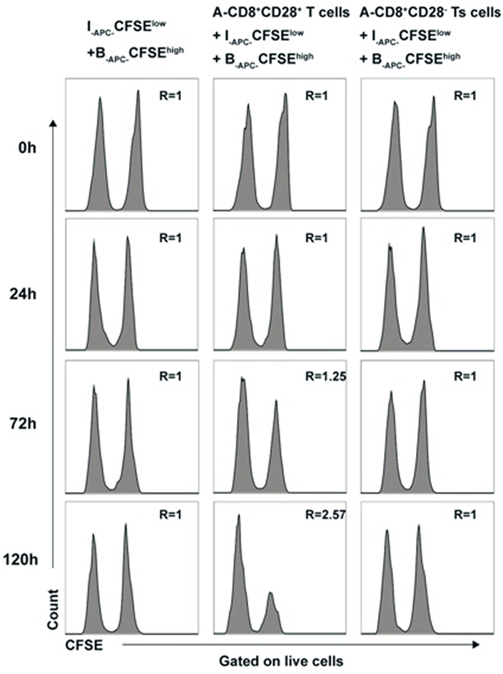 Frontiers Human Cd8 Cd28− T Suppressor Cells Expanded By Il 15 In