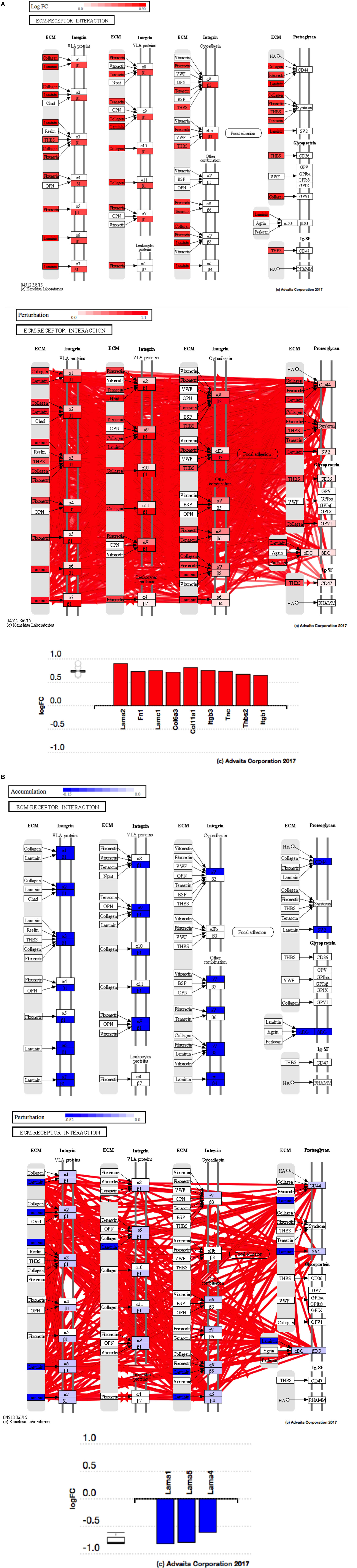 Frontiers | Resolvin E1 Promotes Bone Preservation Under Inflammatory ... Frontiers | Resolvin E1 Promotes Bone Preservation Under Inflammatory ...