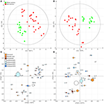 Frontiers | Field-Based Metabolomics of Vitis vinifera L. Stems ...