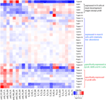 Frontiers | Expression and Function of Tetraspanins and Their ...