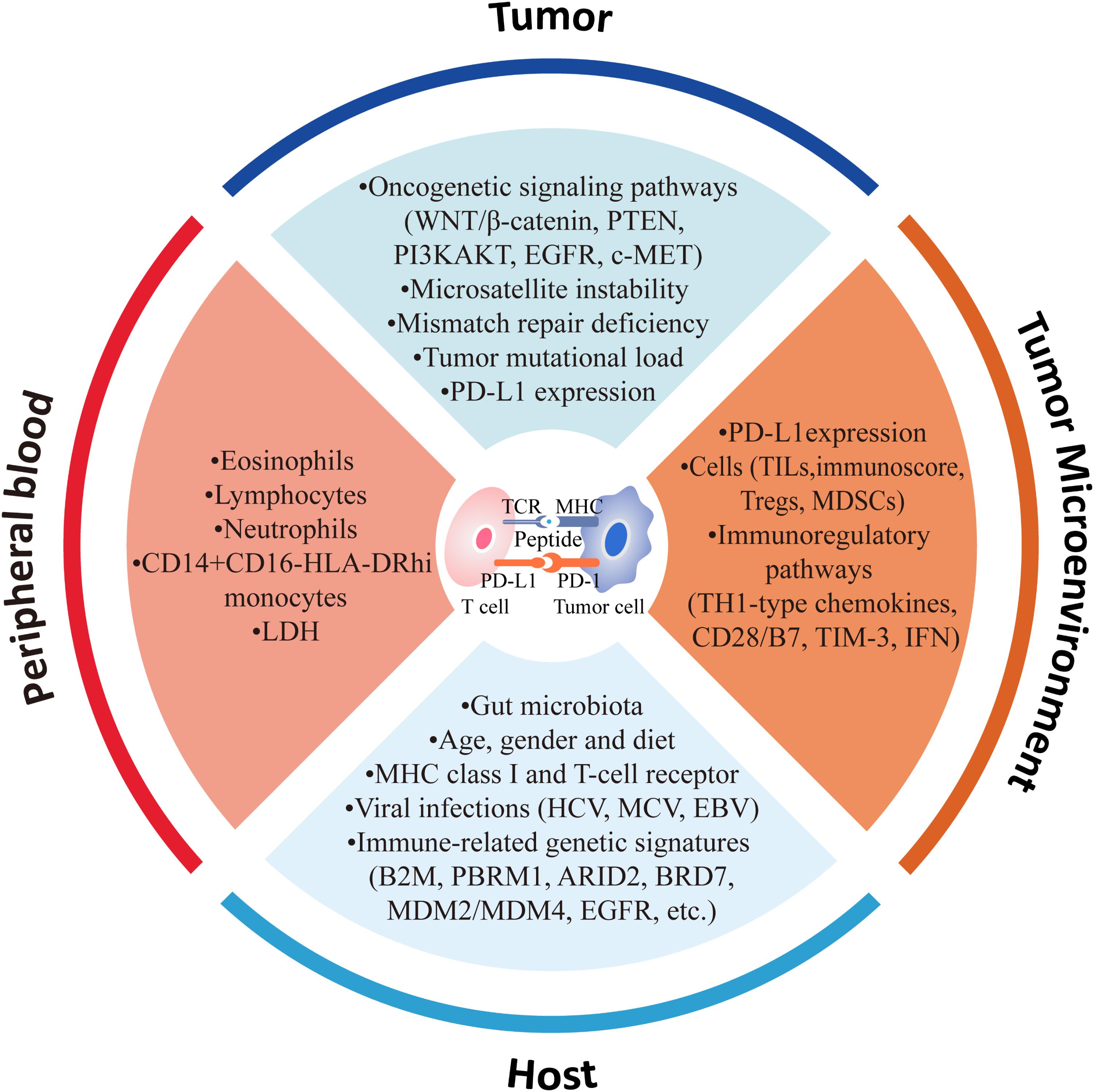 Frontiers Prognostic Factors For Checkpoint Inhibitor Based