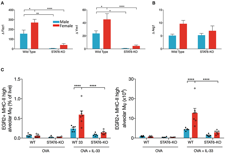 Frontiers Sex Differences In Il 33 Induced Stat6 Dependent Type 2