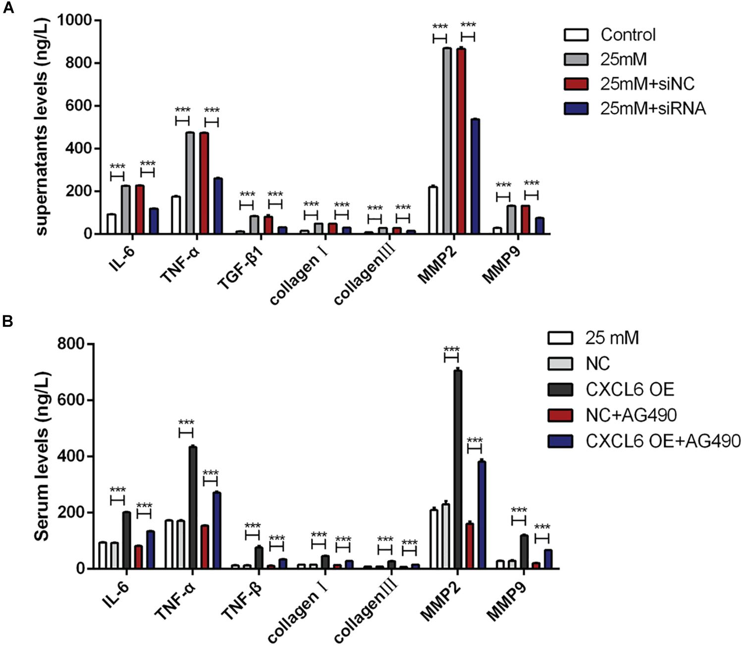 Frontiers | CXCL6 Promotes Renal Interstitial Fibrosis in Diabetic ...
