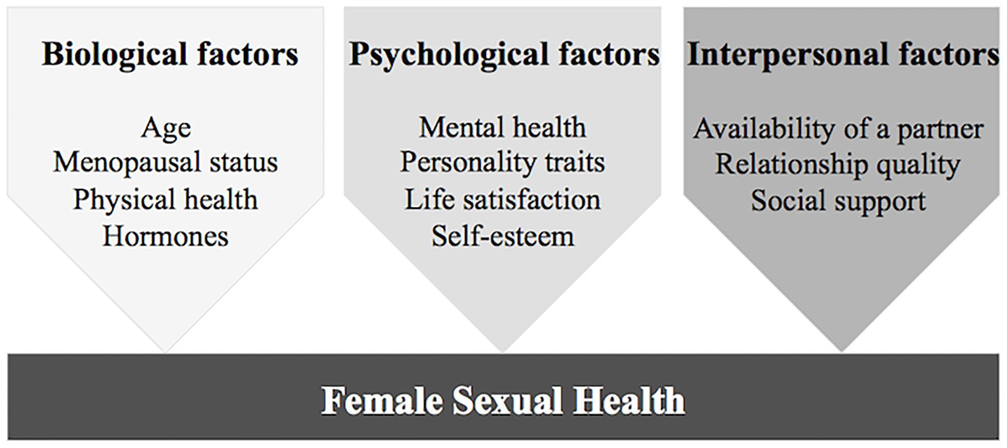 Multidimensional Scale Of Sexuality Telegraph