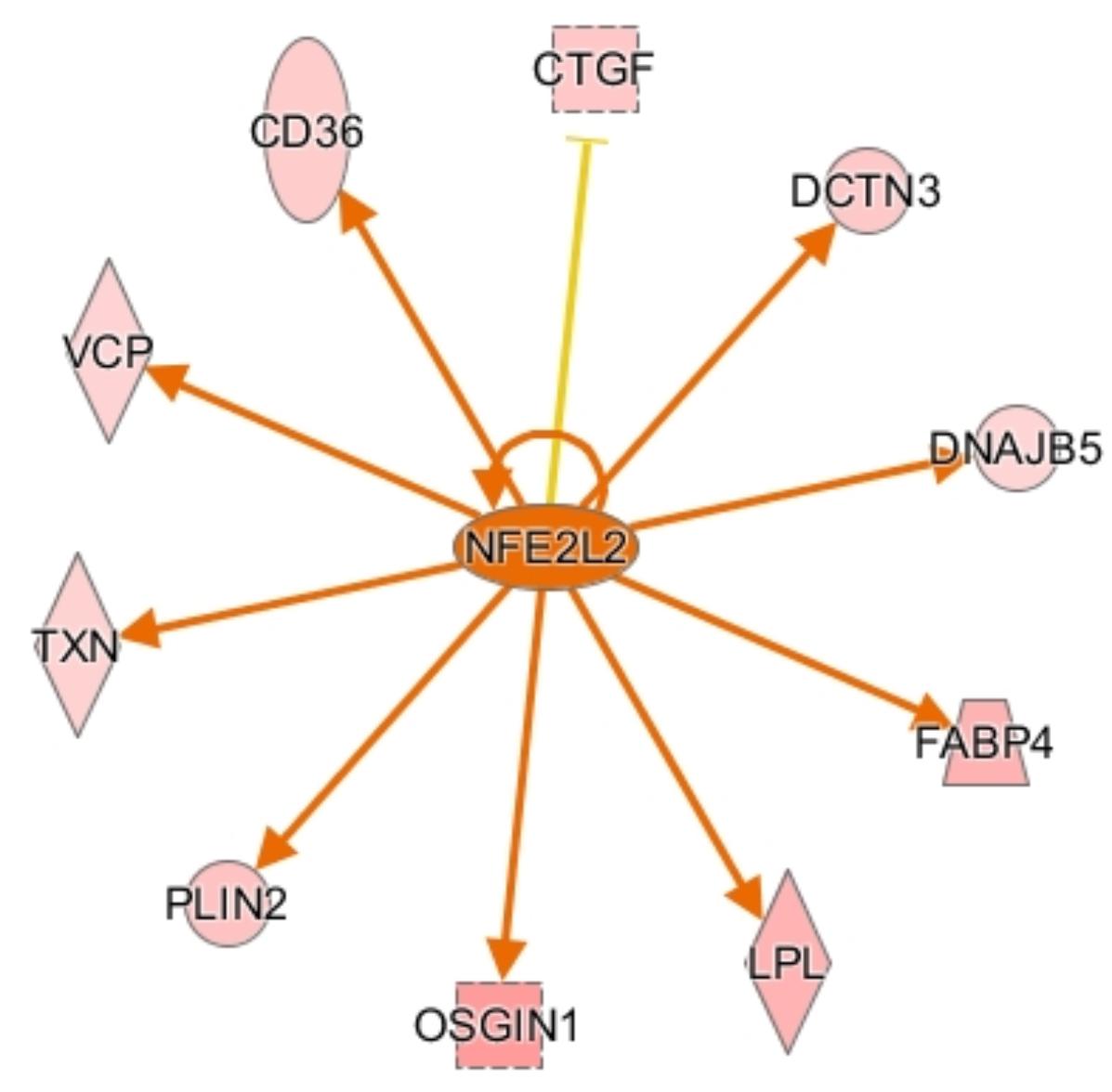 Frontiers Rna Seq Analysis Reveals Spatial And Sex Differences In