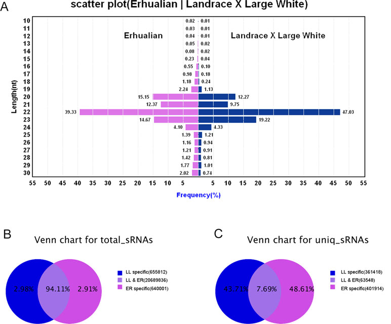 Frontiers Differential Microrna Expression In Porcine Endometrium