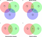 Frontiers | Temporal Stability of Bacterial Communities in Antarctic ...