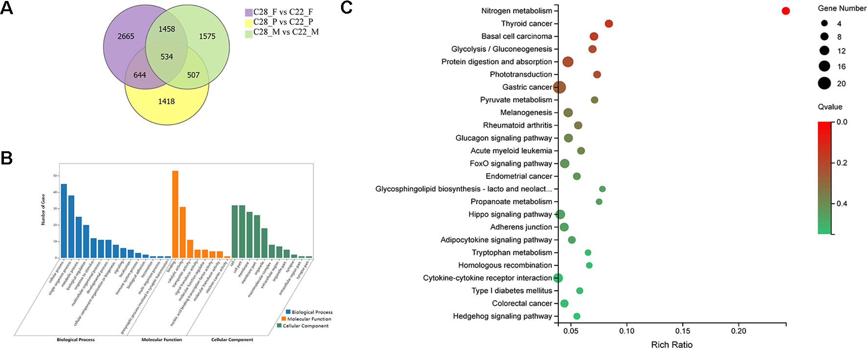 Frontiers Transcriptome Of Gonads From High Temperature Induced Sex