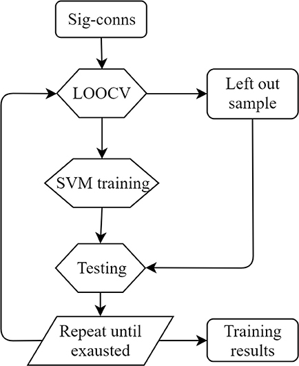 Frontiers A Distance Based Neurorehabilitation Evaluation Method