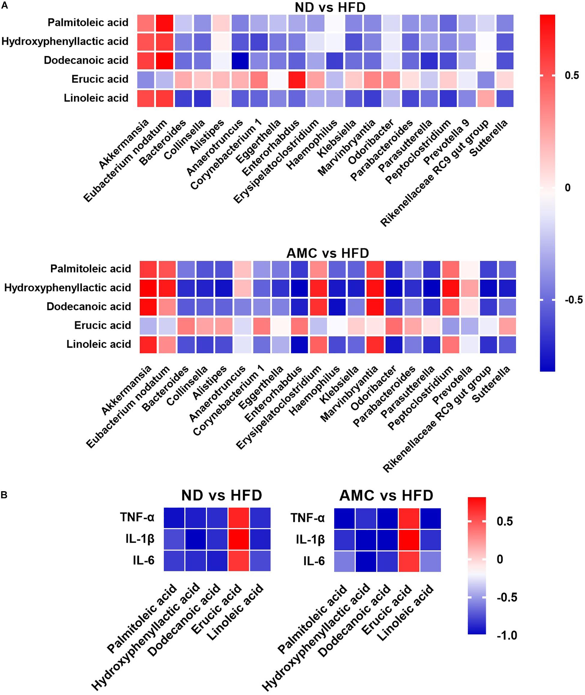 Heatmaps Of Spearmans Correlations A Heatmap Of Correlations Cloud