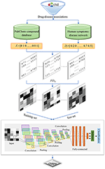 Frontiers | Identification of Drug-Disease Associations Using ...