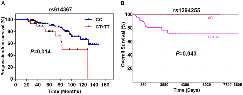 Frontiers Genetic Variation In Ccl5 Signaling Genes And Triple