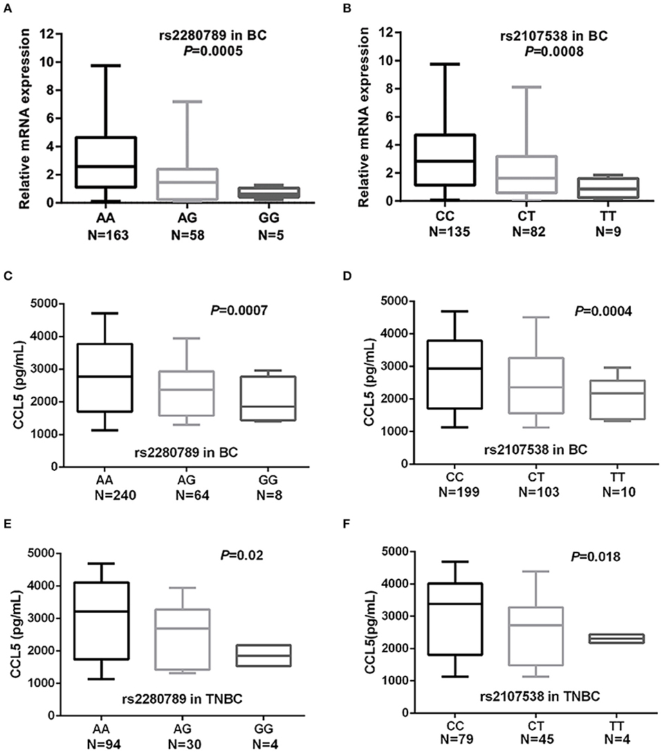 Frontiers Genetic Variation In Ccl5 Signaling Genes And Triple