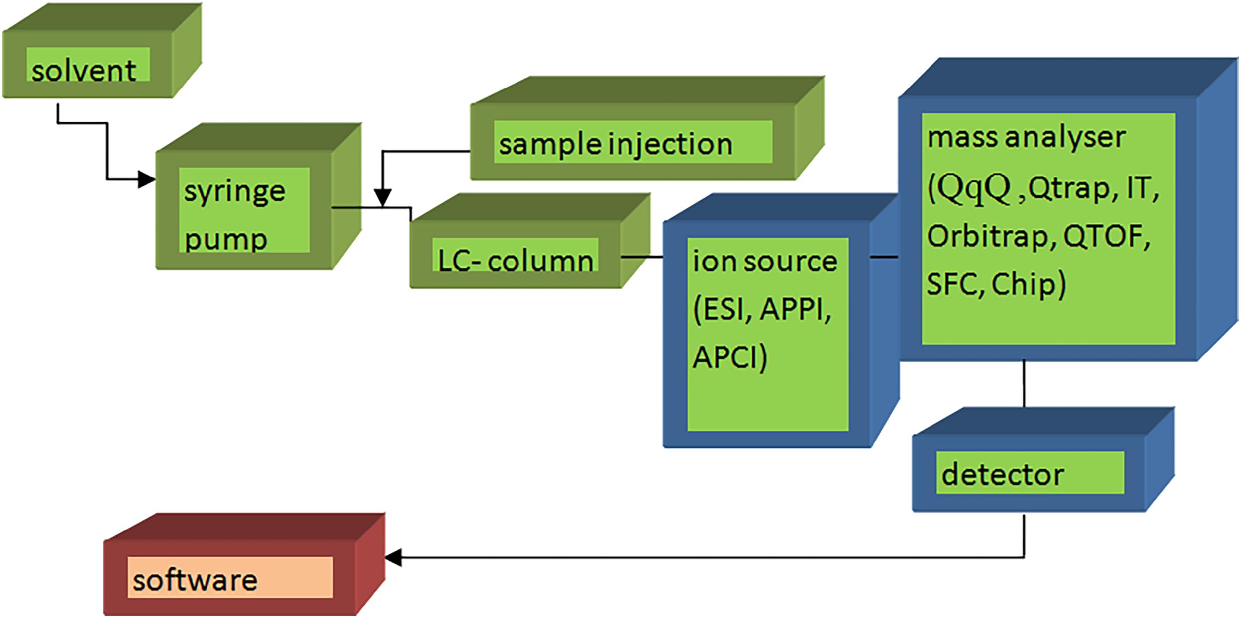 Frontiers | Detection of Aflatoxins in Different Matrices and Food ...