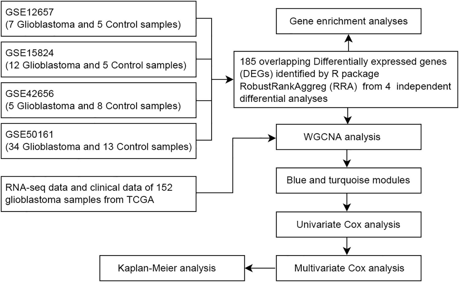 Frontiers Integrated Analysis To Evaluate The Prognostic Value Of