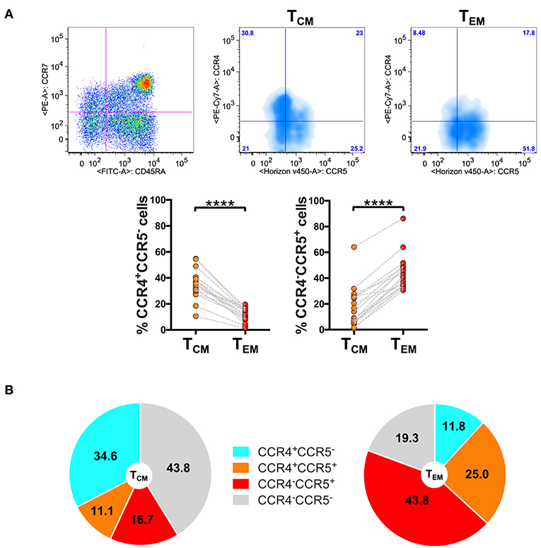Frontiers Ccr4 Skin Tropic Phenotype As A Feature Of Central Memory