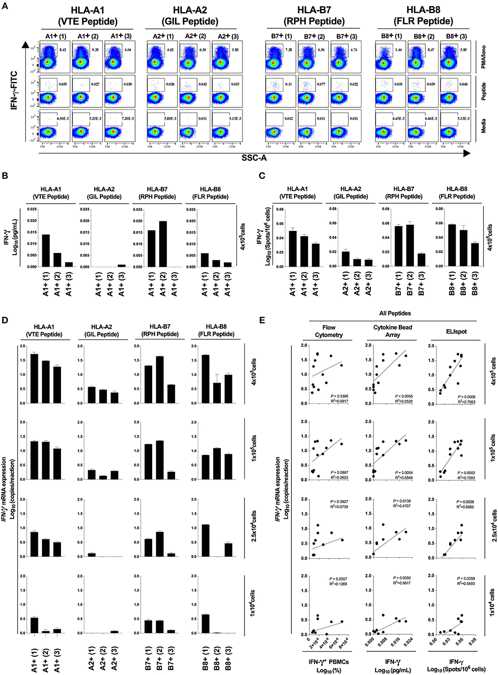 Frontiers An Analytically And Diagnostically Sensitive Rna Extraction