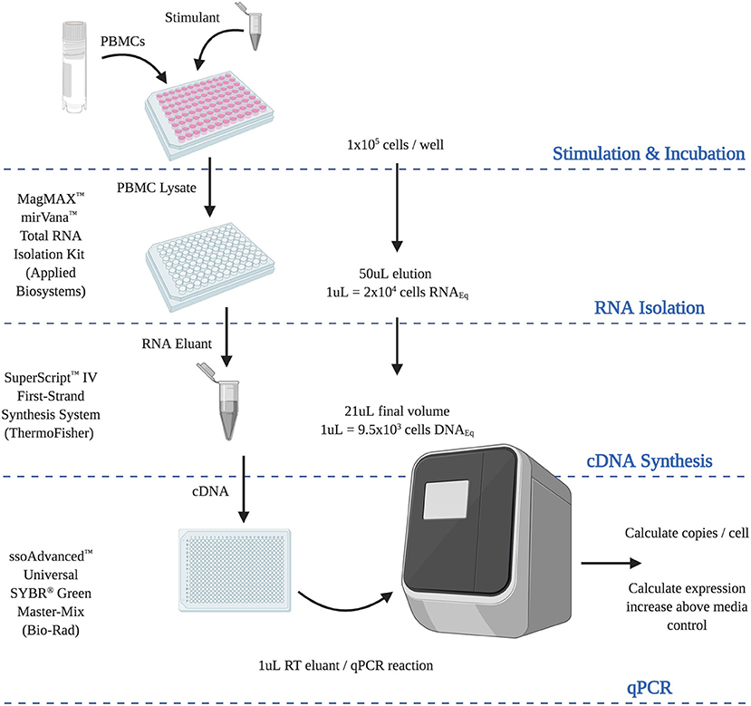 Frontiers An Analytically And Diagnostically Sensitive Rna Extraction