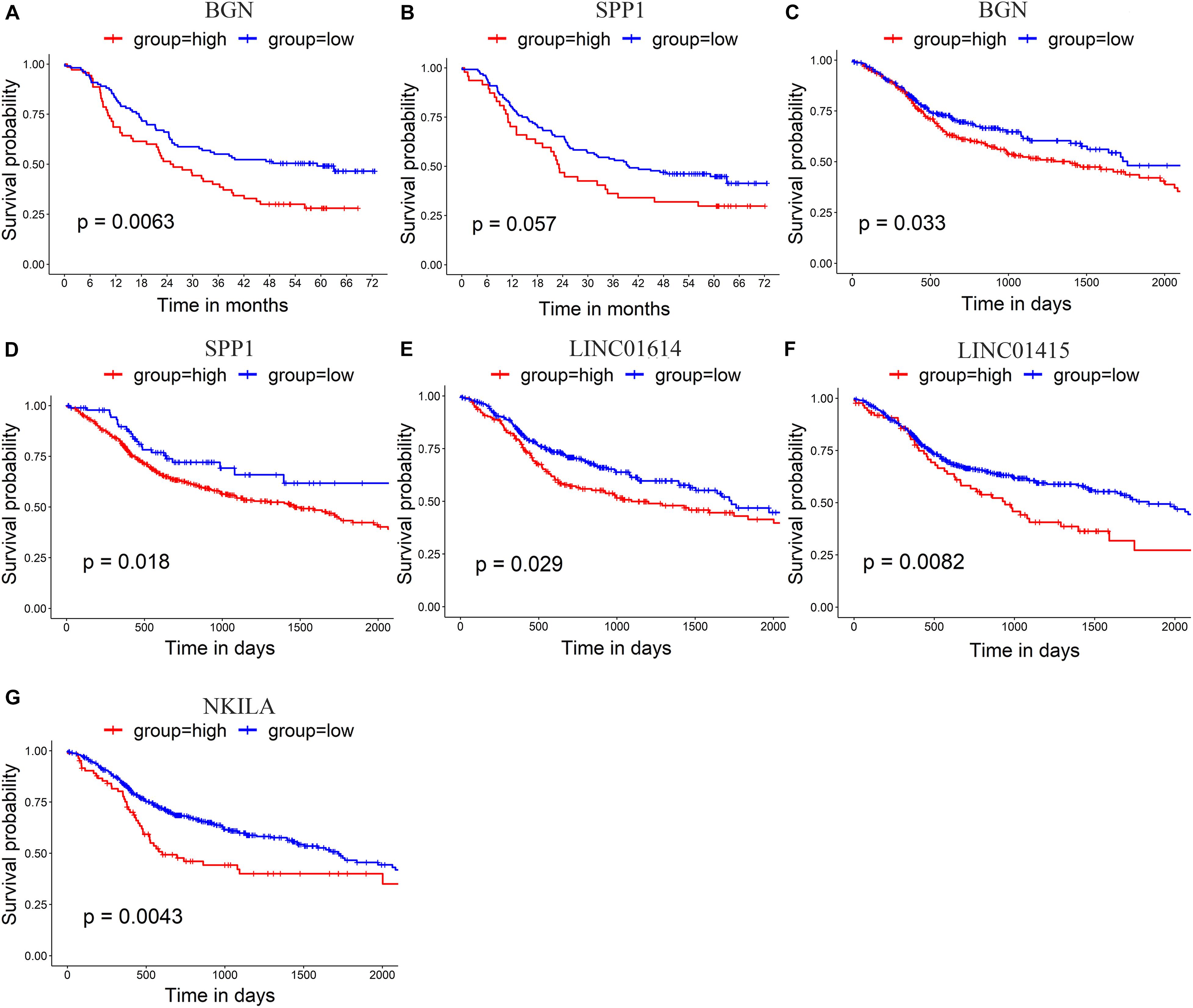 Frontiers Identification And Validation Of Potential Pathogenic Genes