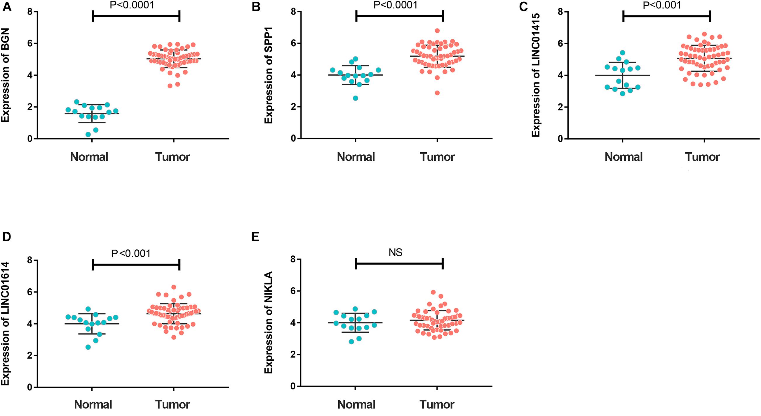 Frontiers Identification And Validation Of Potential Pathogenic Genes
