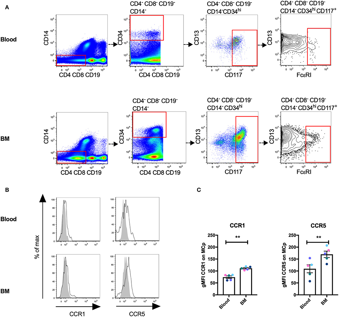 Frontiers Localization Specific Expression Of Ccr1 And Ccr5 By Mast
