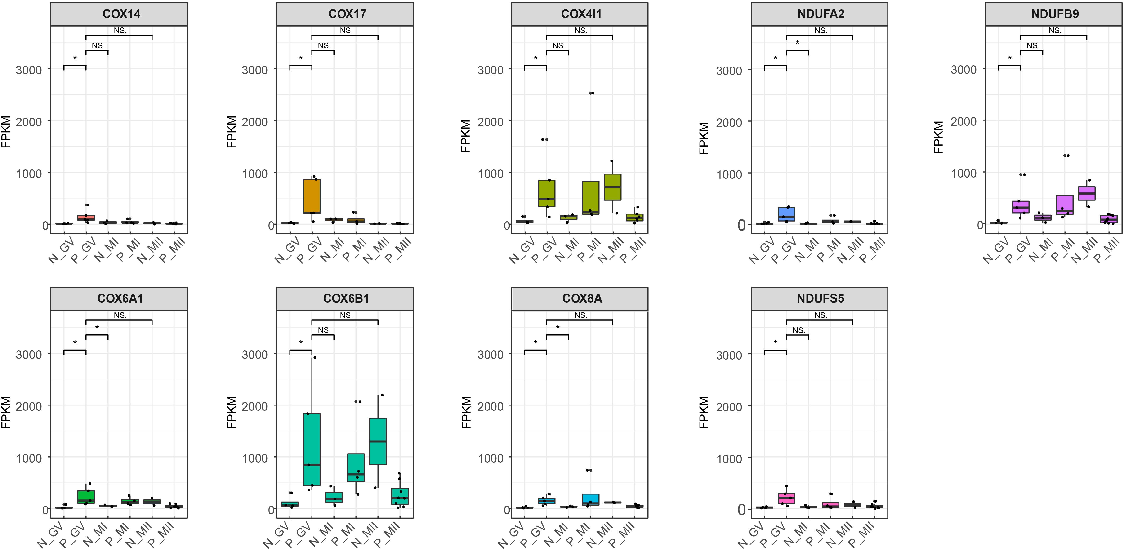 Frontiers Single Cell Transcriptomic Analysis Reveals Mitochondrial
