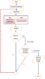 Frontiers | Assessing the Effectiveness of Automated Emotion ...