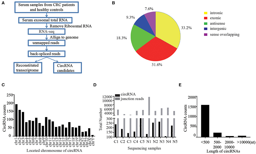 Frontiers Rna Seq Profiling Of Serum Exosomal Circular Rnas Reveals