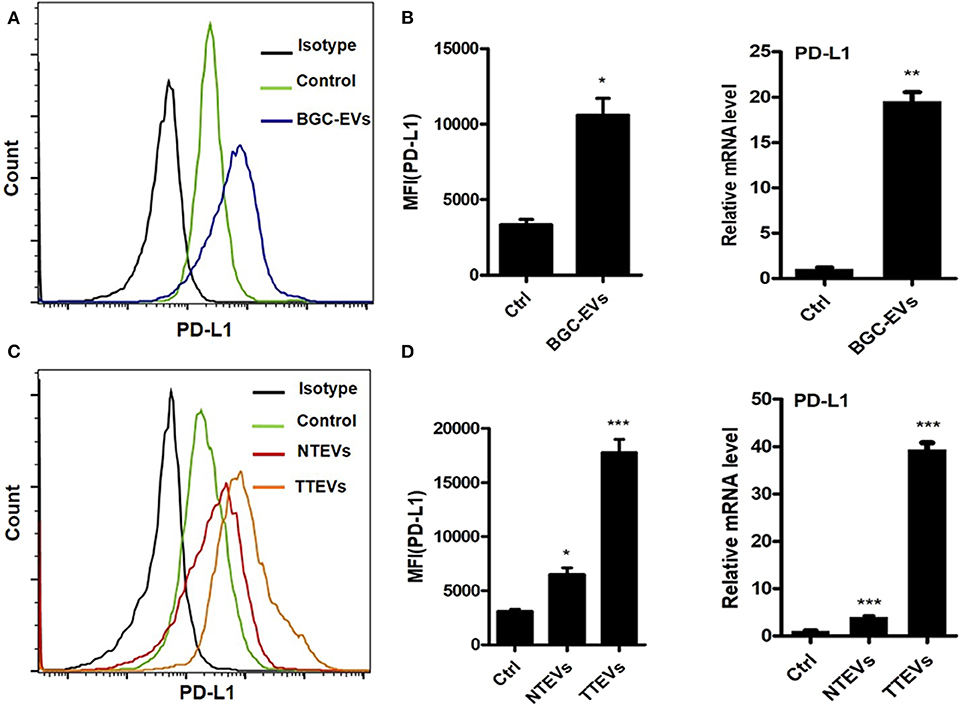 Frontiers Extracellular Vesicles From Gastric Cancer Cells Induce Pd