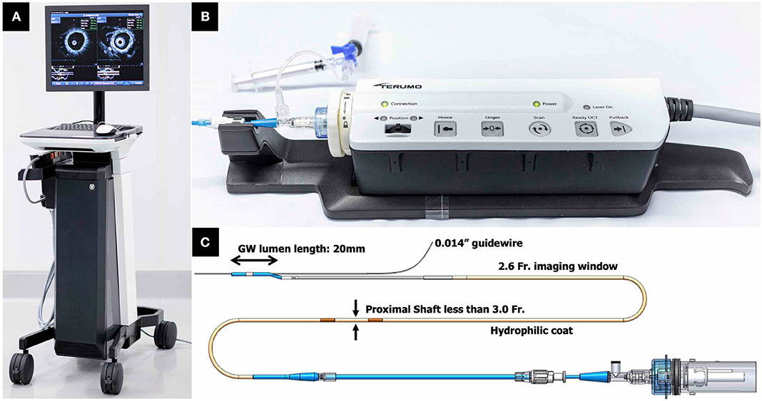 Frontiers | Advances in IVUS/OCT and Future Clinical Perspective of ...