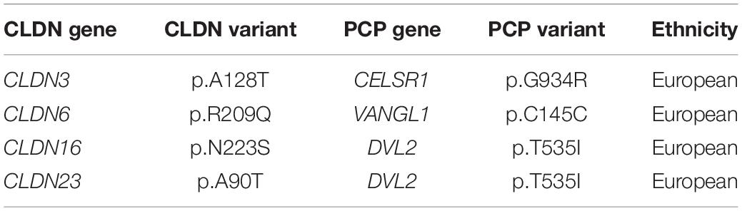 Frontiers Functional Validation Of Cldn Variants Identified In A