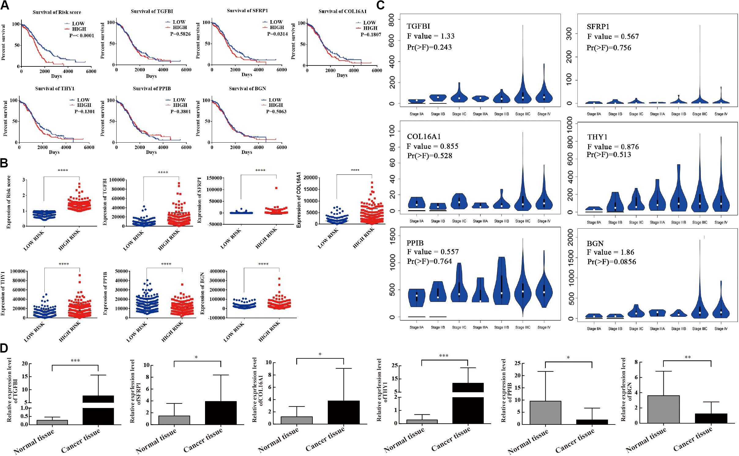 Frontiers A Novel Six Gene Signature For Prognosis Prediction In