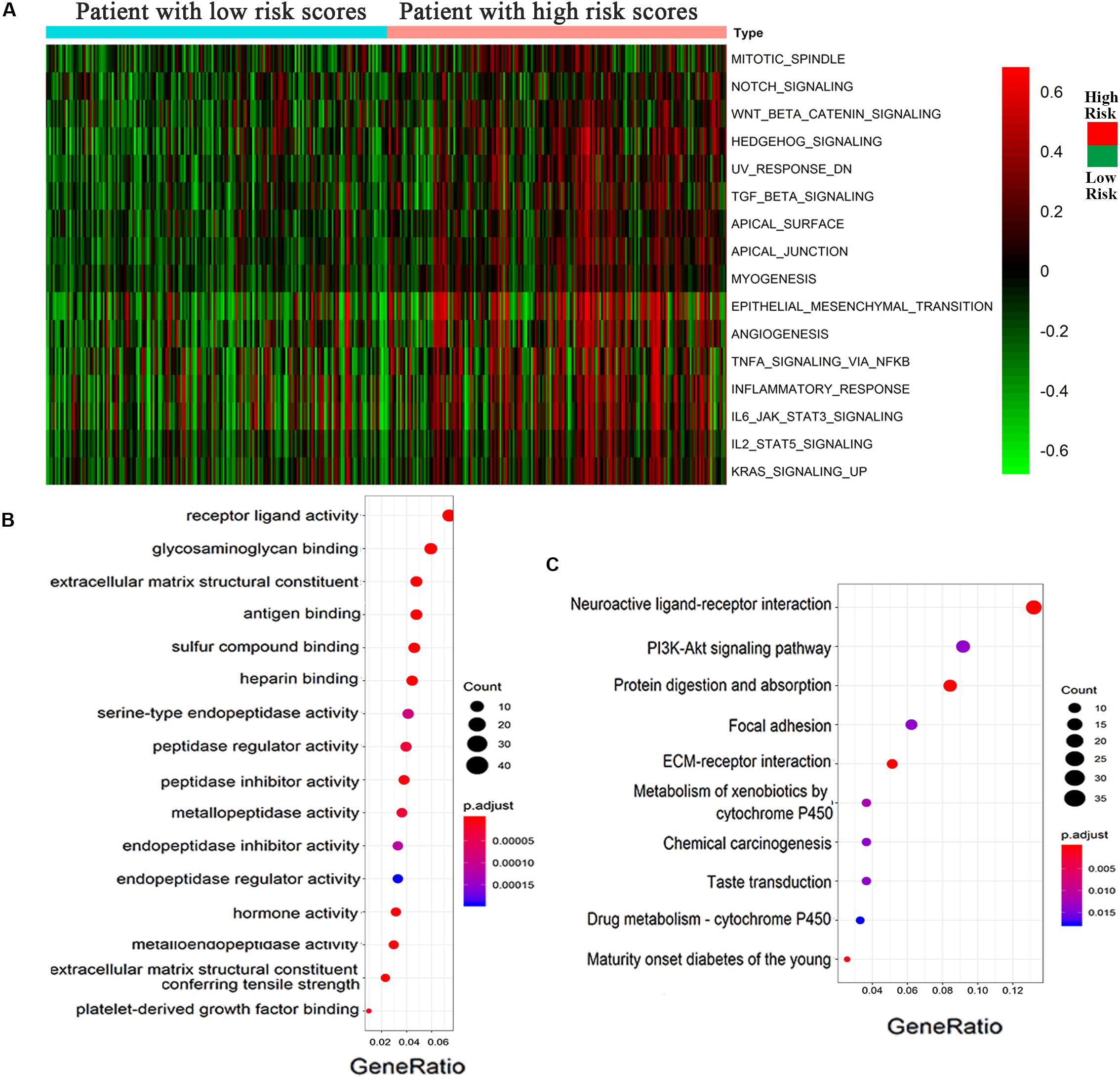 Frontiers A Novel Six Gene Signature For Prognosis Prediction In