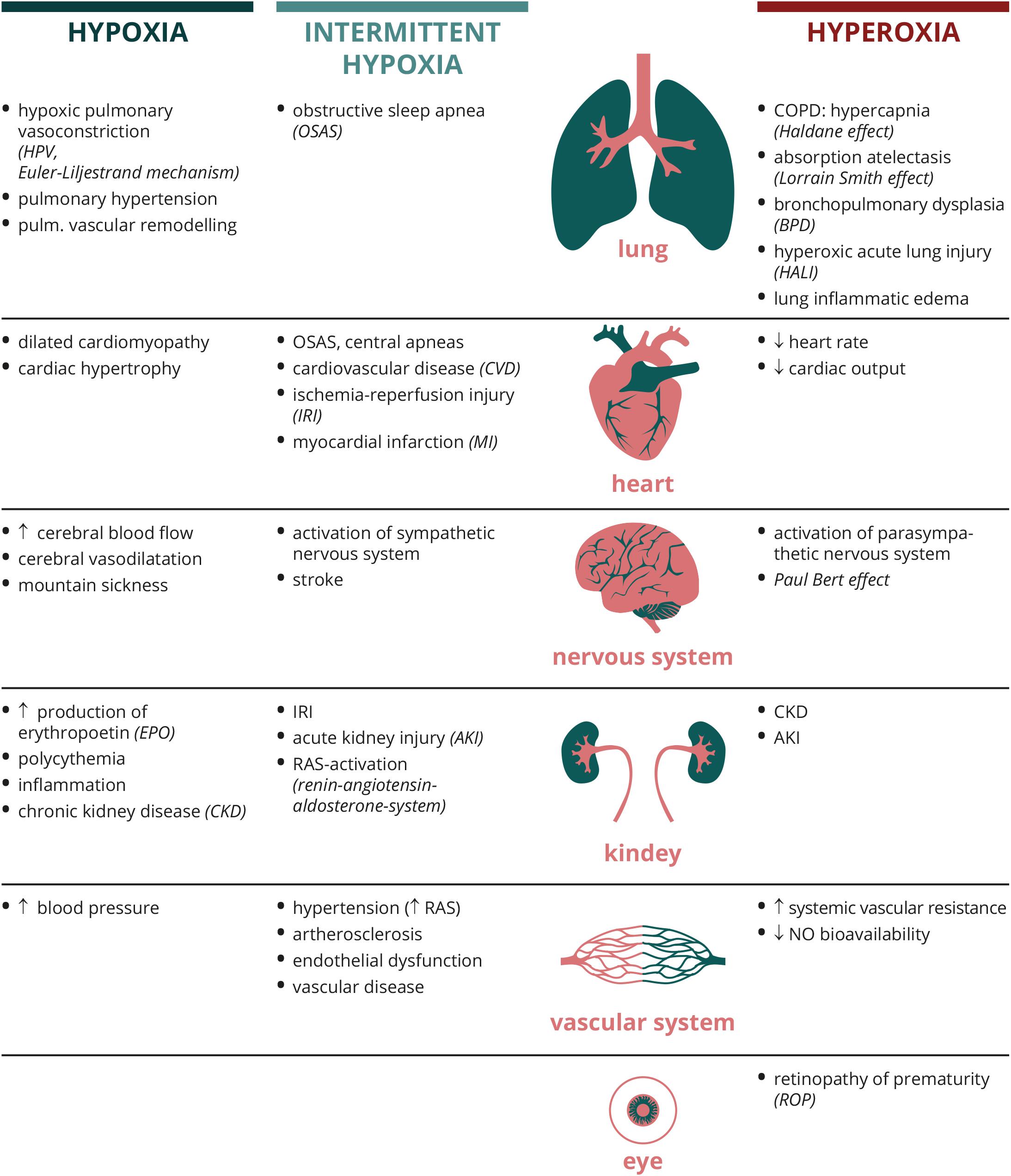 Frontiers Investigating Disturbances Of Oxygen Homeostasis From