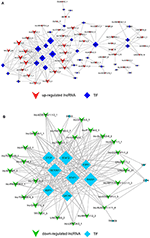 Frontiers | Molecular Screening for Nigericin Treatment in Pancreatic ...