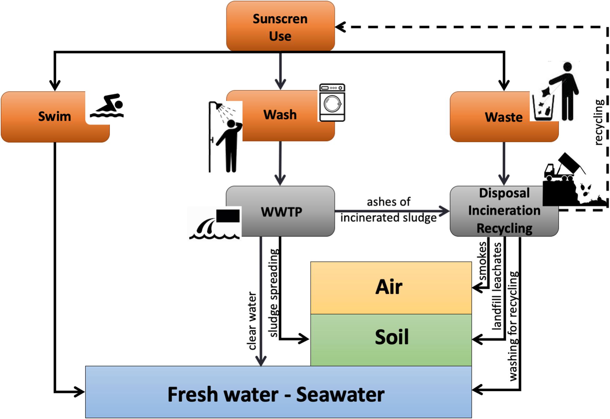 Frontiers Assessing Sunscreen Lifecycle To Minimize Environmental Risk Posed By 
