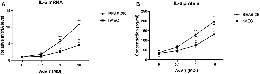 Frontiers Adenovirus 7 Induces Interlukin 6 Expression In Human