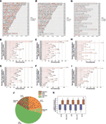 Frontiers | Landscape of N6-Methyladenosine Modification Patterns in ...