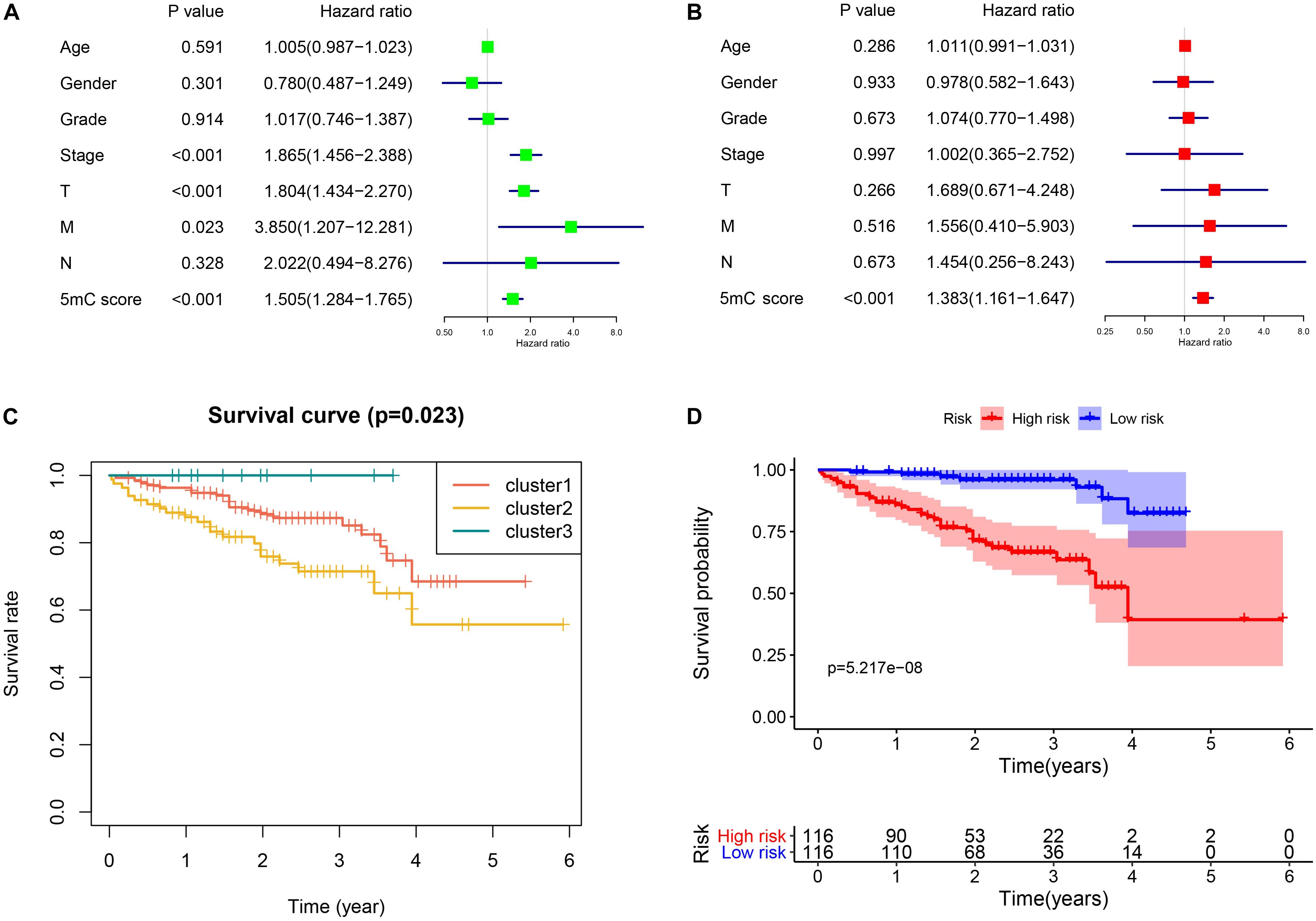 Frontiers Novel Molecular Subtypes Associated With 5mc Methylation