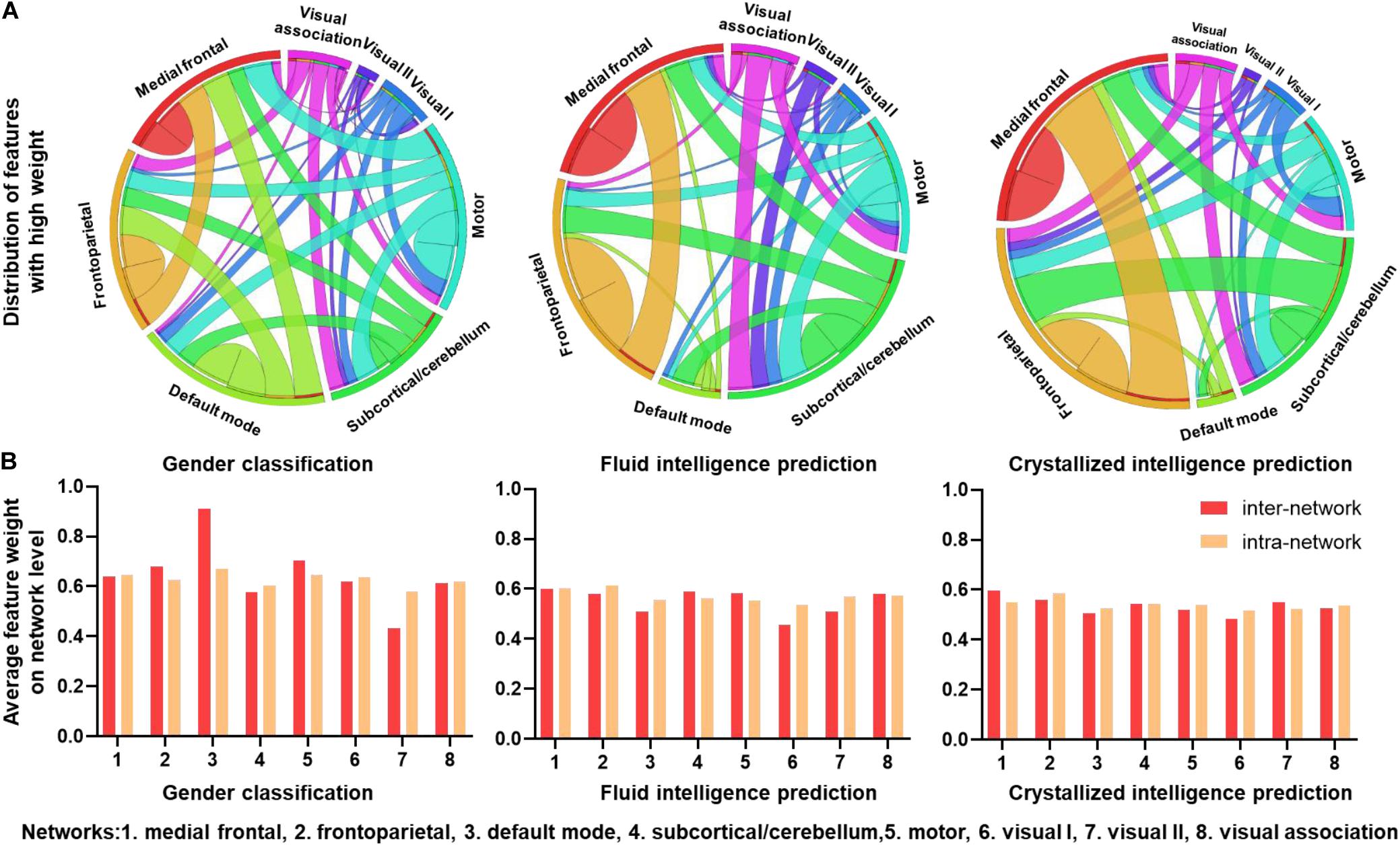 Frontiers A Deep Network Model On Dynamic Functional Connectivity