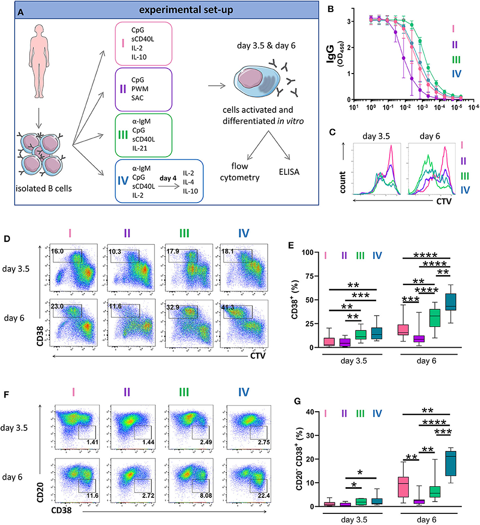 Facs Analysis Flow Cytometry - vrogue.co Facs Analysis Flow Cytometry - vrogue.co