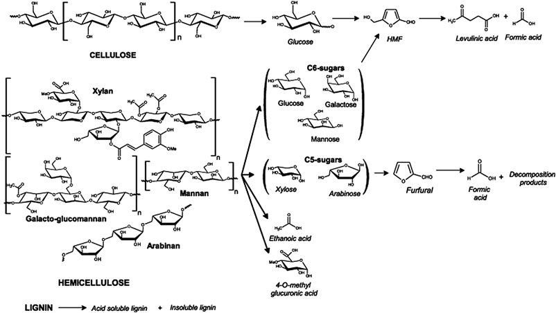Sucrose Acid Hydrolysis