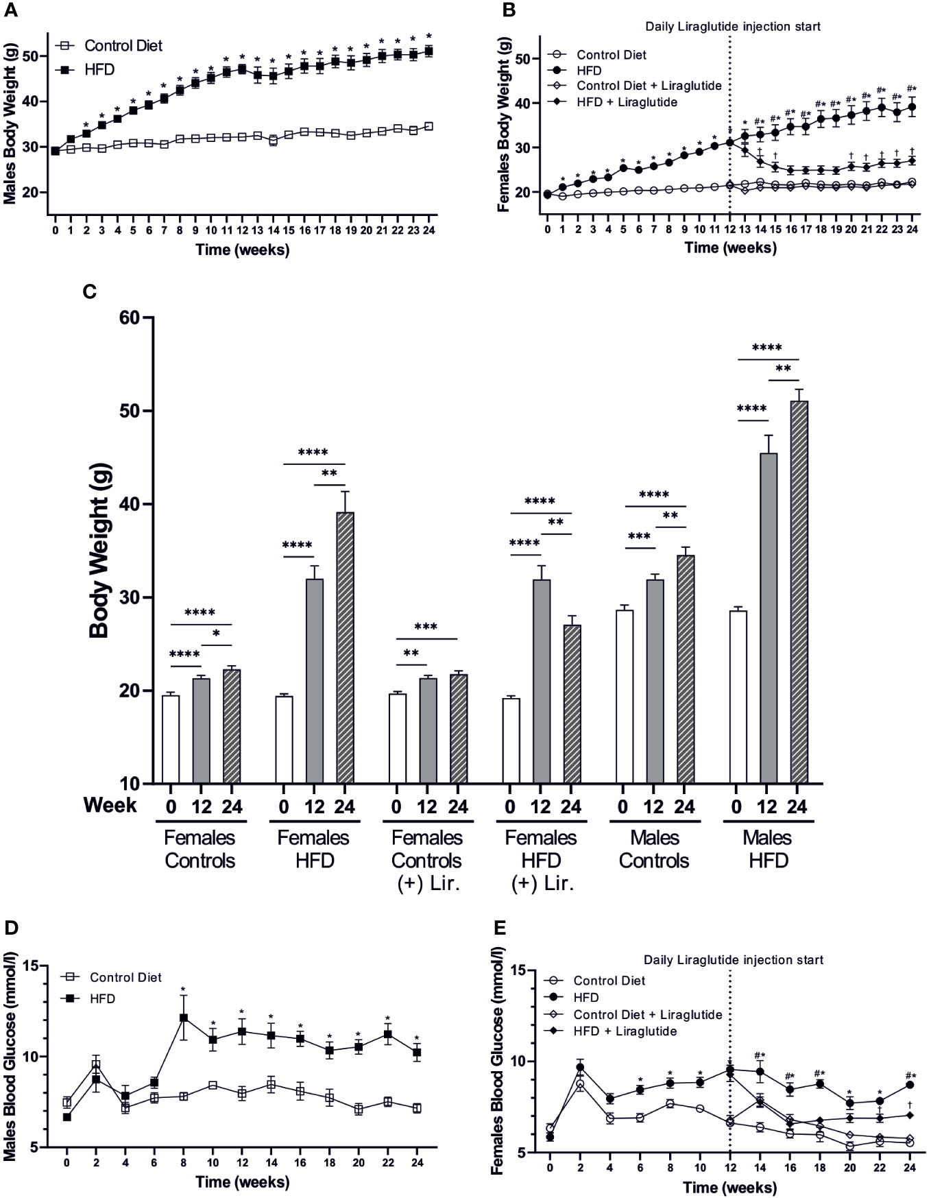 Frontiers Sex Specific Effect Of High Fat Diet On Free Download Nude