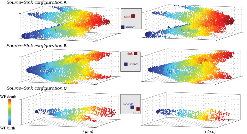 Frontiers Transient Dynamics And Rhythm Coordination Of Inferior
