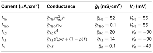 Frontiers Transient Dynamics And Rhythm Coordination Of Inferior