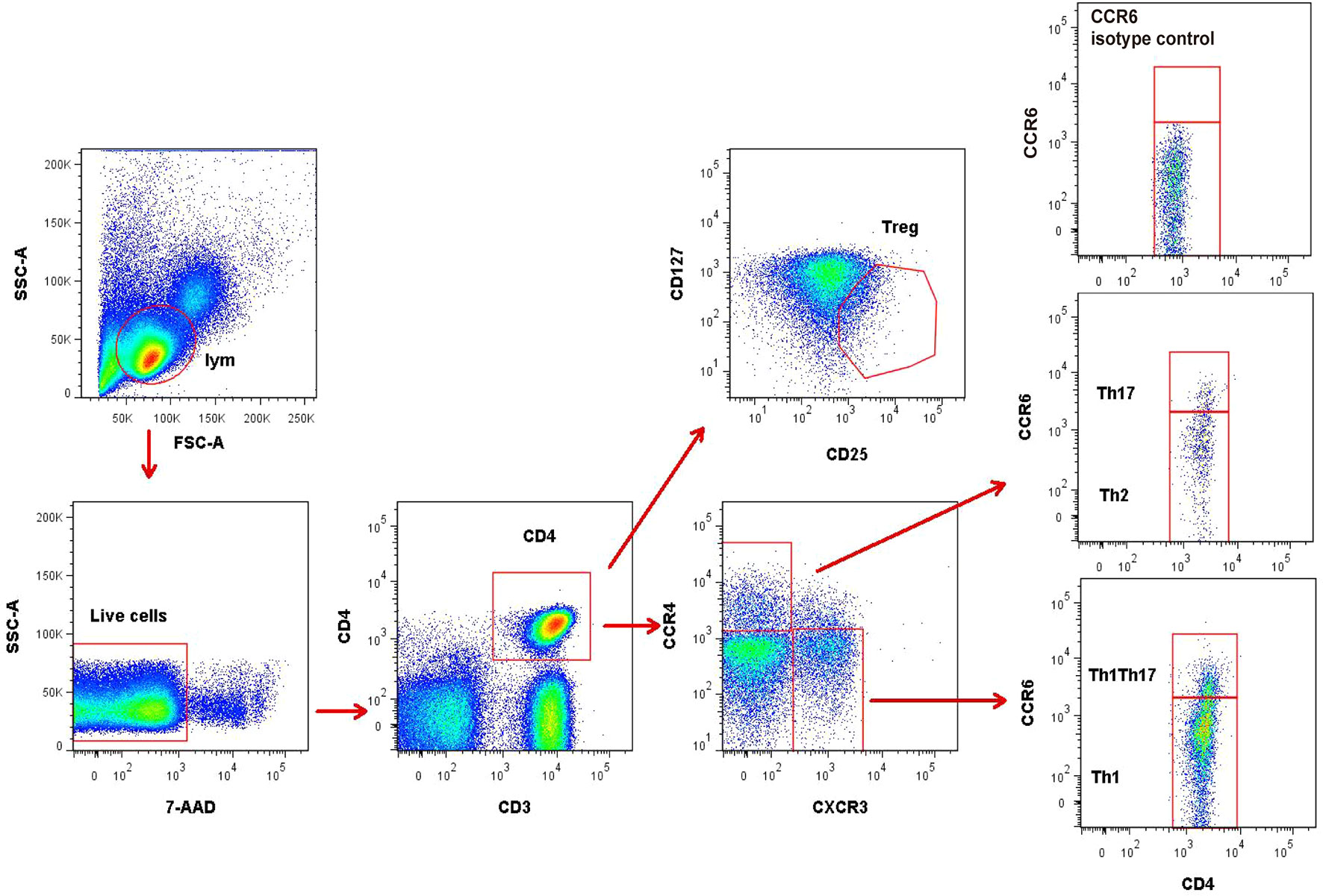 Frontiers Reduced Cd4 T Cell Cxcr3 Expression In Patients With