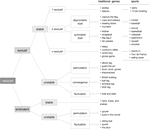 Frontiers | Sports Teaching, Traditional Games, and Understanding in ...