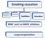 Frontiers | Update on Pulmonary Langerhans Cell Histiocytosis | Medicine