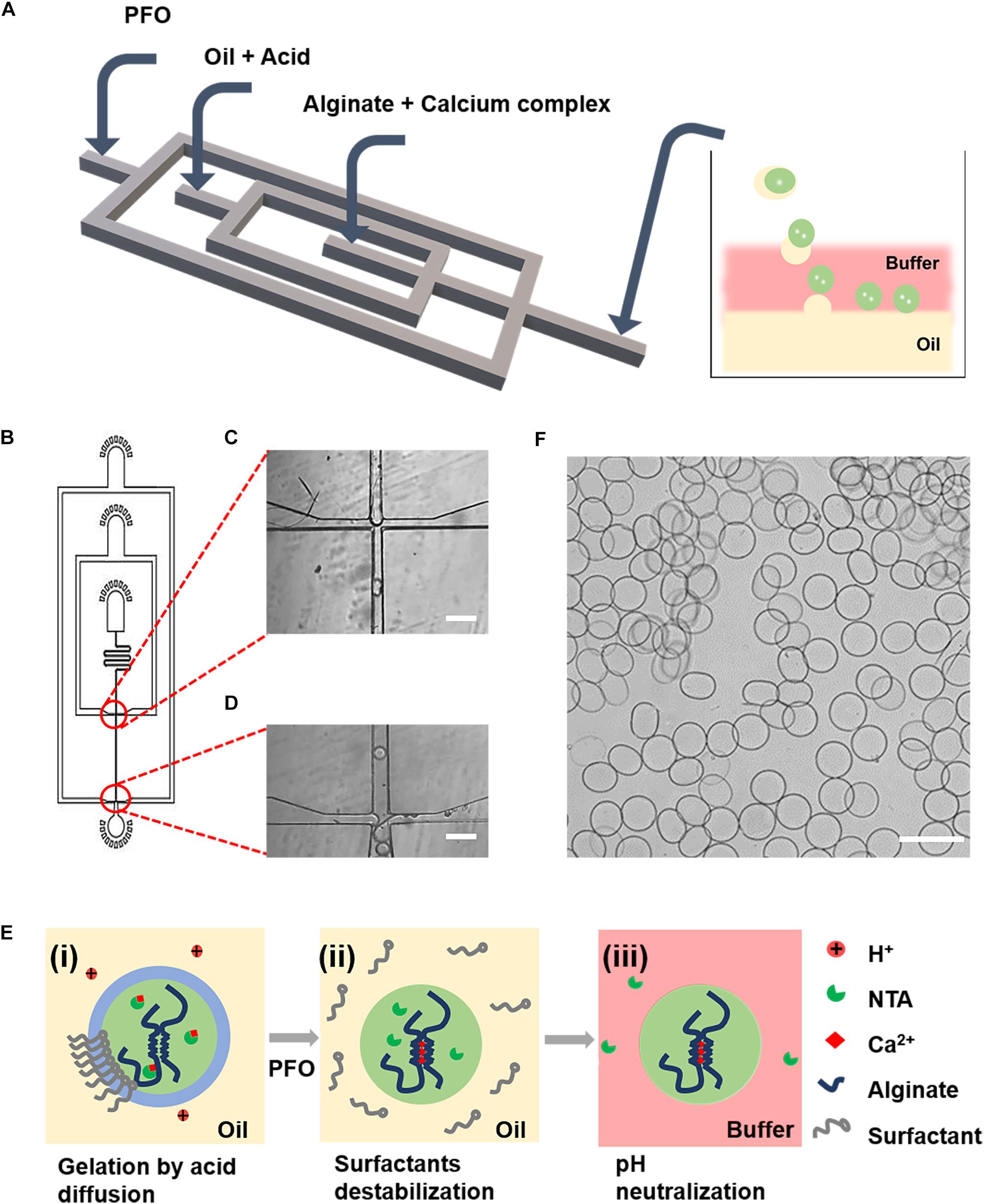 Droplet Based Microfluidic System Ufluidix - vrogue.co Droplet Based Microfluidic System Ufluidix - vrogue.co