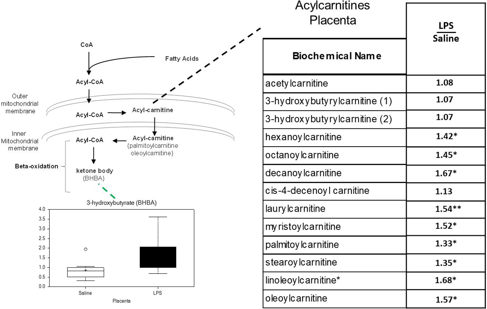Frontiers Intrauterine Inflammation Alters The Transcriptome And